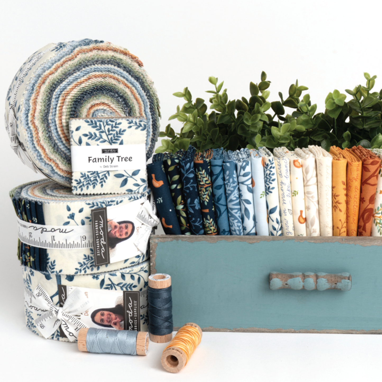 Family Tree Jelly Roll by Deb Strain for Moda – uniquelymateo